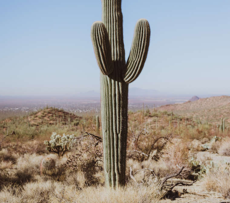 Our brands – Spivi